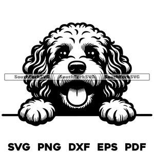 Peeking Cockapoo Dog Head Design | Svg Png Dxf Eps Pdf | Vector Graphic ...