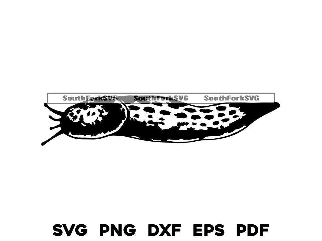 Slug Snail Vector Design Svg Png Dxf Eps Pdf | Laser Engrave Cnc Cut ...