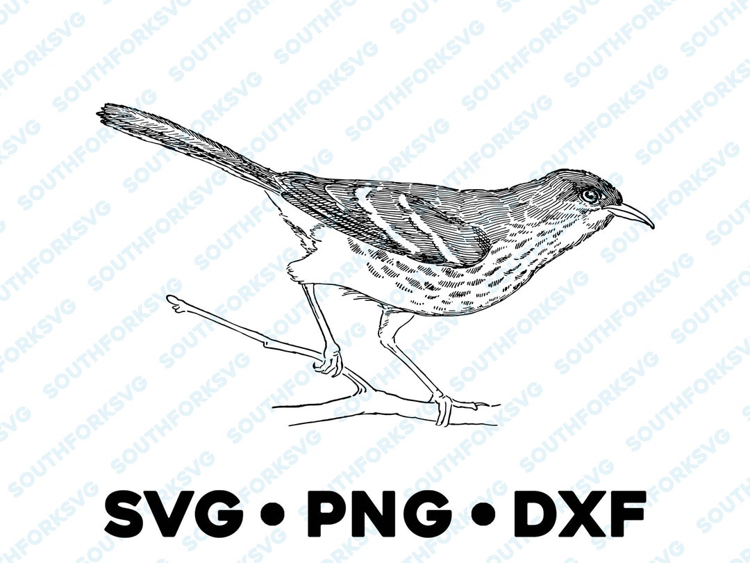 Brown Thrasher SVG PNG DXF Vector Graphic Design Image Clip Art Horned ...