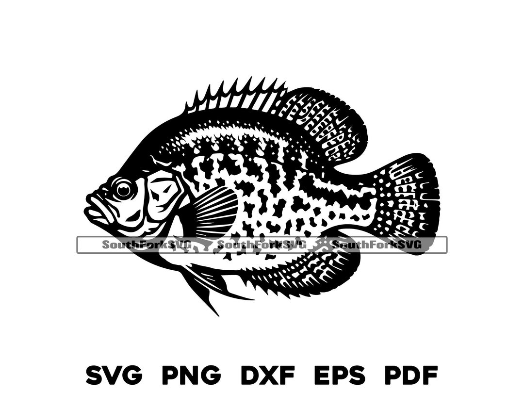 Crappie Fish Design Files | Svg Png Dxf Eps Pdf | Transparent Vector ...