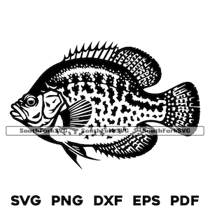 Crappie Fish Design Files | Svg Png Dxf Eps Pdf | Transparent Vector ...