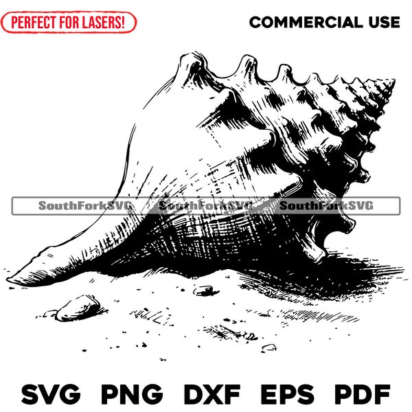 Engraved Shell - Etsy