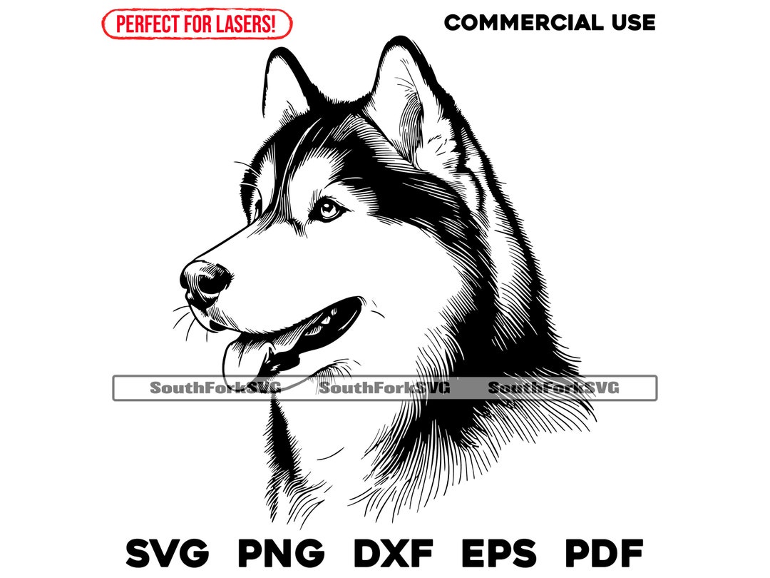 Siberian Husky Laser Engrave Files Svg Png Dxf Eps Pdf | Vector Graphic ...