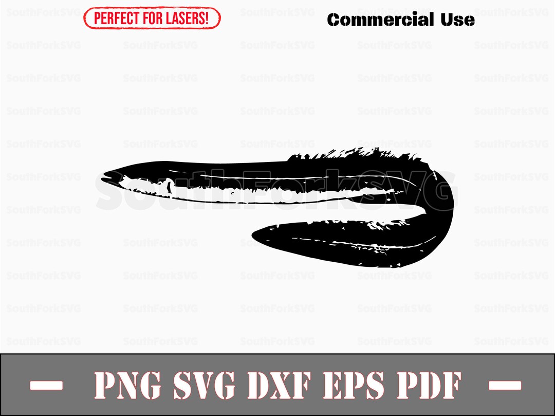 Freshwater Eel Svg Png Dxf Eps Pdf Transparent Vector Graphic Design ...