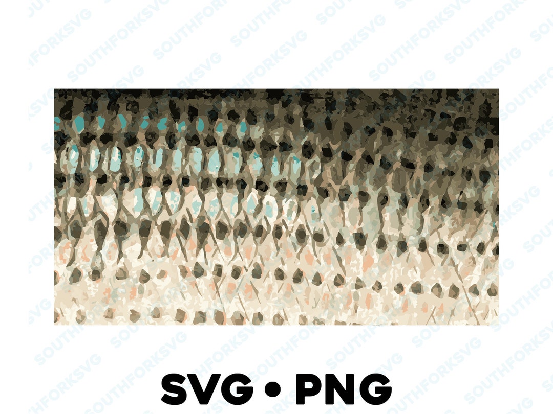 Striped Striper White Bass Skin Pattern SVG PNG DXF Trout Bass Pike ...