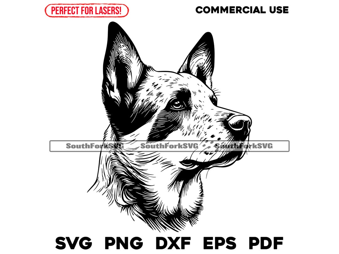 Blue Heeler Portrait Svg Png Dxf Eps Pdf | Vector Graphic Cut File ...
