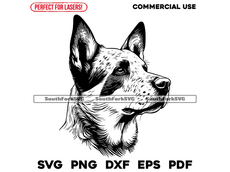 Blue Heeler Portrait Svg Png Dxf Eps Pdf | Vector Graphic Cut File ...