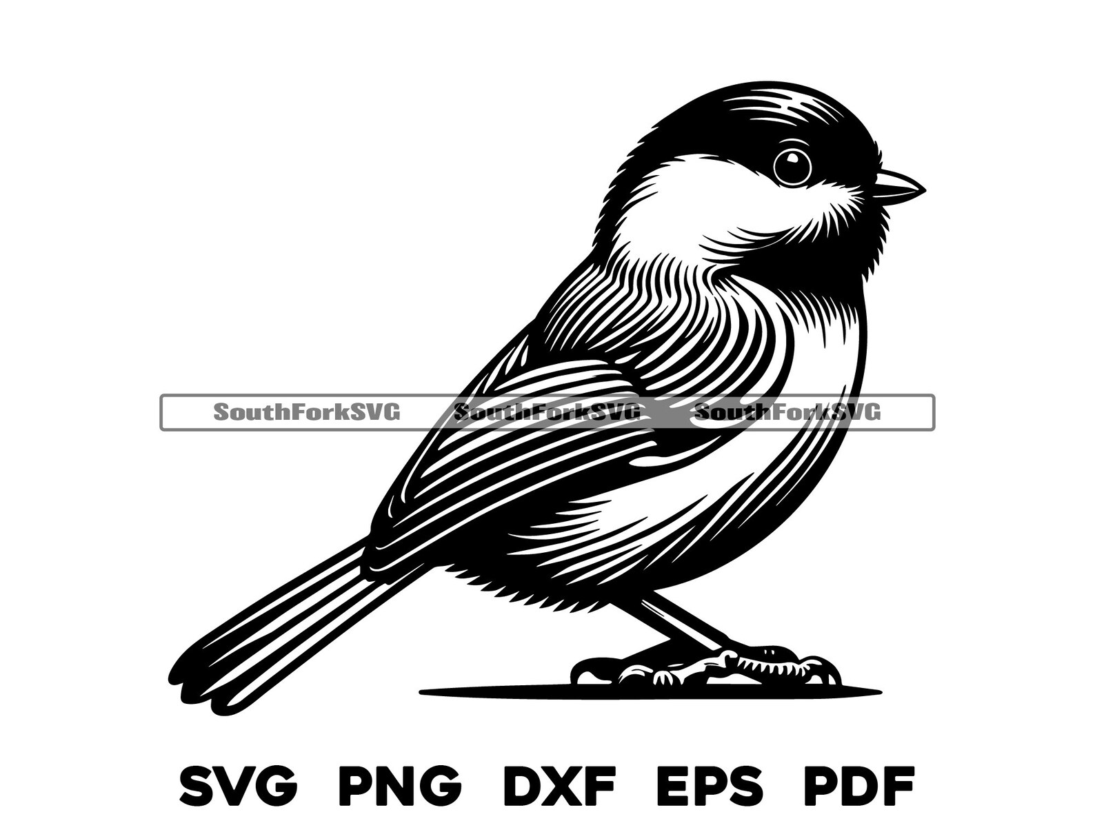 Black Capped Carolina Chickadee | Svg Png Dxf Eps Pdf | Vector Graphic ...