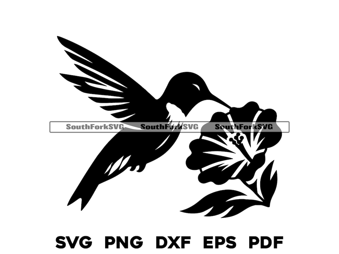 Hummingbird Feeding Svg Png Dxf Eps Pdf | Laser Engrave Cut Print Files ...