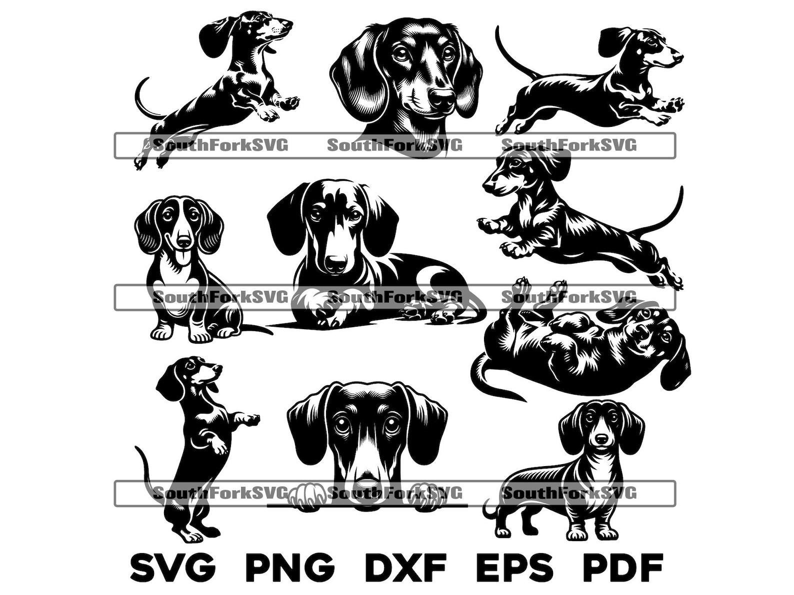 Dachshund Weiner Dog Breed Bundle | Svg Png Dxf Eps Pdf | Vector ...