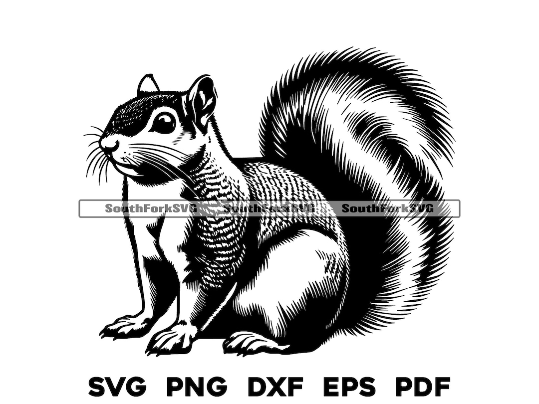 Squirrel Design Files Svg Png Dxf Eps Pdf | Vector Graphic Design Cut ...