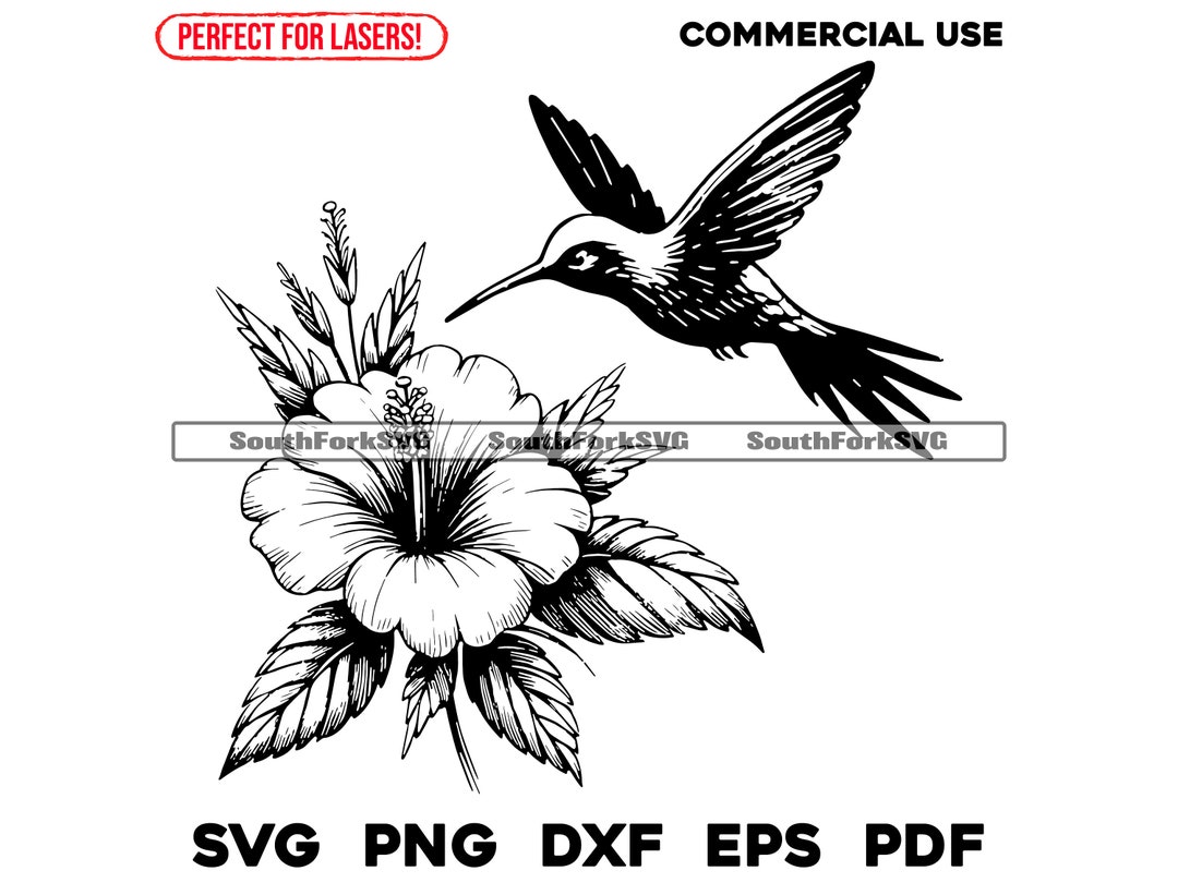 Hummingbird Feeding Laser Engrave Files Svg Png Dxf Eps Pdf | Vector ...