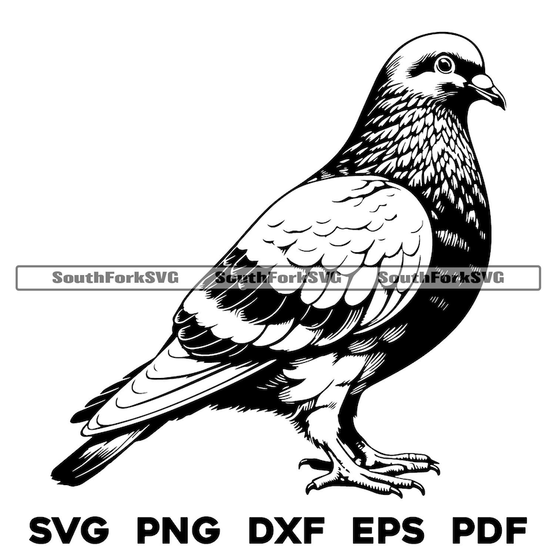 Friendship Pigeon - Etsy