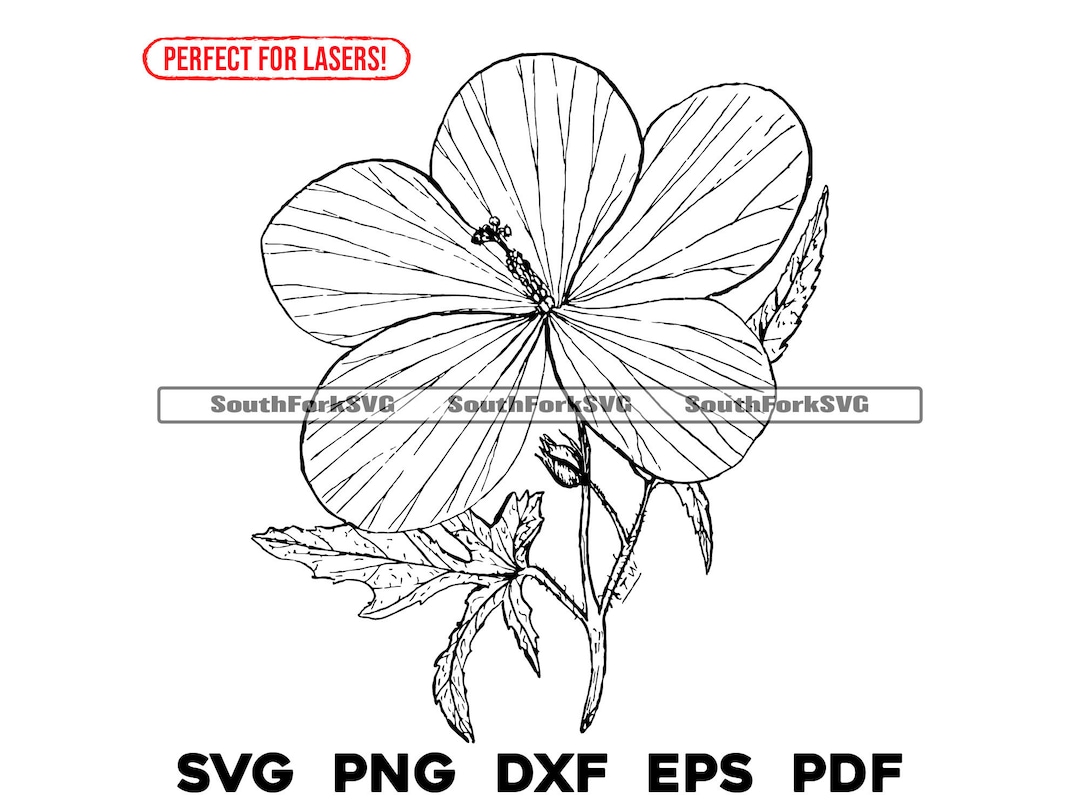 Hibiscus Flower Design | Svg Png Dxf Eps Pdf | Vector Graphic Cut File ...