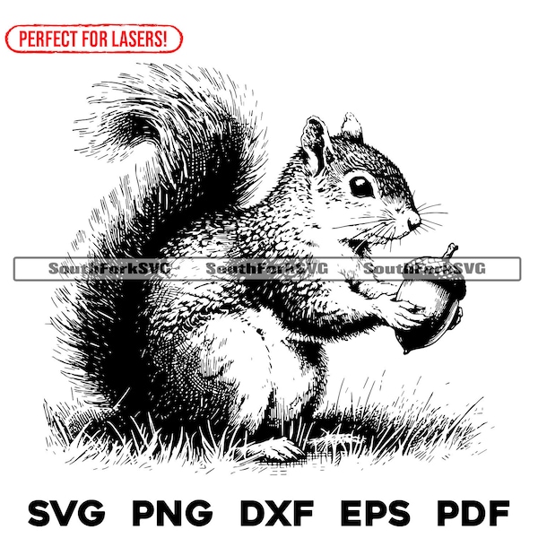 Squirrel Svg - Etsy