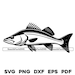 Walleye Jumping 7 Design Svg Png Dxf Eps Pdf Transparent Vector Graphic ...