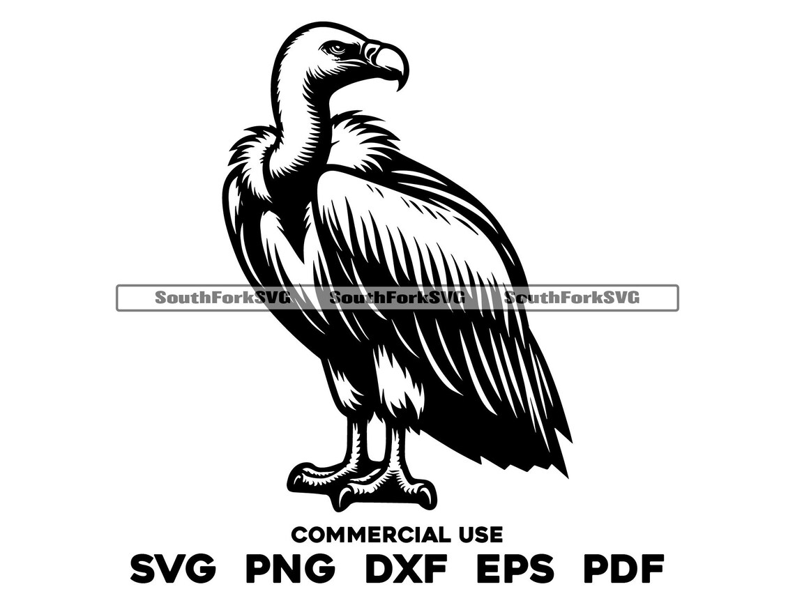 Vulture Svg Png Dxf Eps Pdf | Vector Graphic Design Cut Print Dye Sub ...