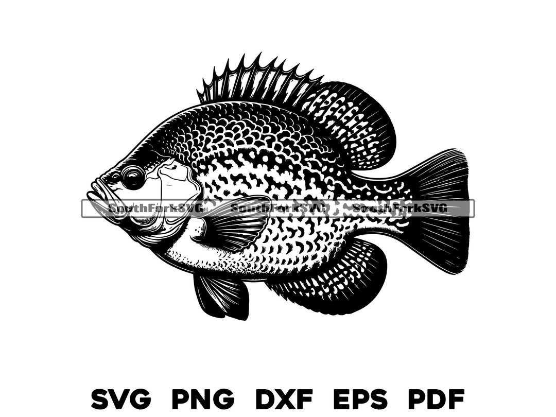 Crappie Fish Design Files | Svg Png Dxf Eps Pdf | Transparent Vector ...