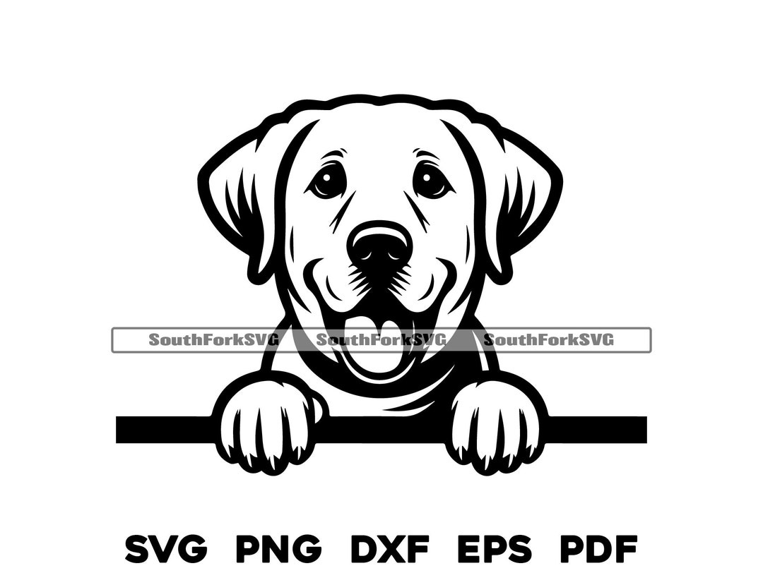 Peeking White Labrador Retriever Dog Svg Png Dxf Eps Pdf | Vector ...