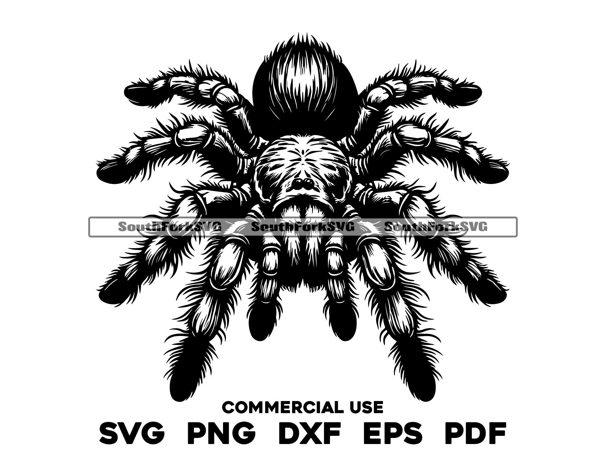 Tarantula Spider Design | Svg Png Dxf Eps Pdf | Vector Graphic Cut File ...