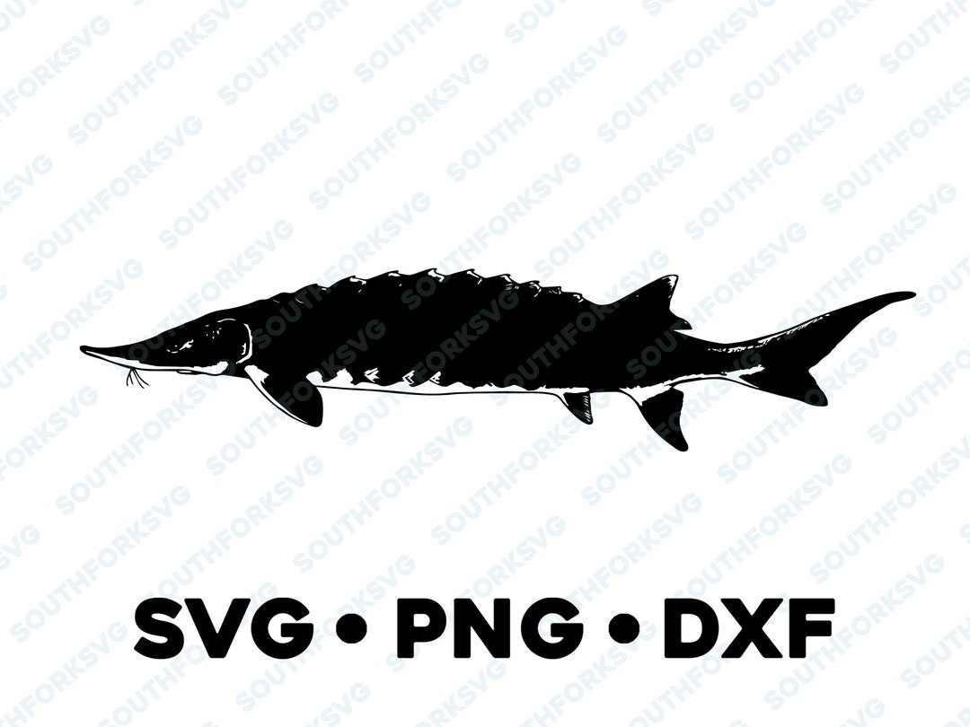 Sturgeon Lake Atlantic Common SVG PNG DXF Vector Transparent Cameo ...
