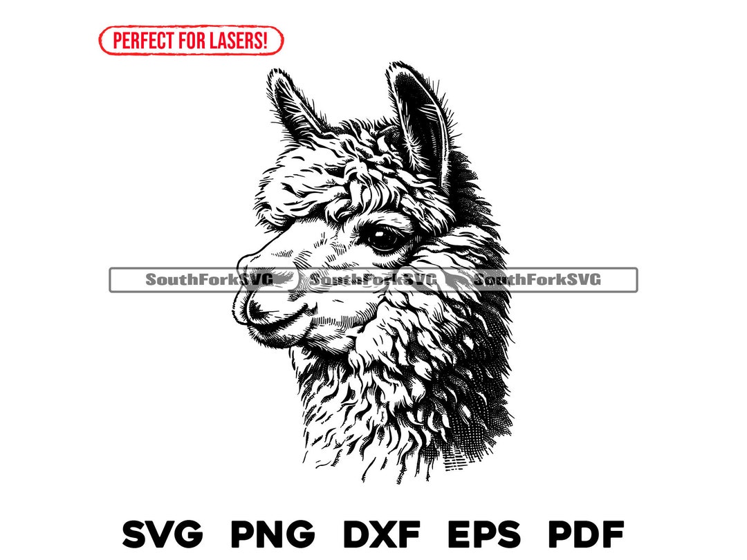 Alpaca Head Laser Engrave Files Svg Png Dxf Eps Pdf Vector Graphic ...