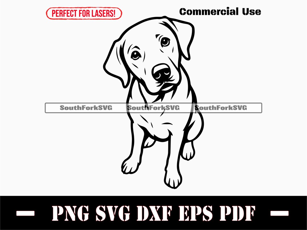 Labrador Retriever Begging Svg Png Dxf Eps Pdf Vector Graphic Stencil ...