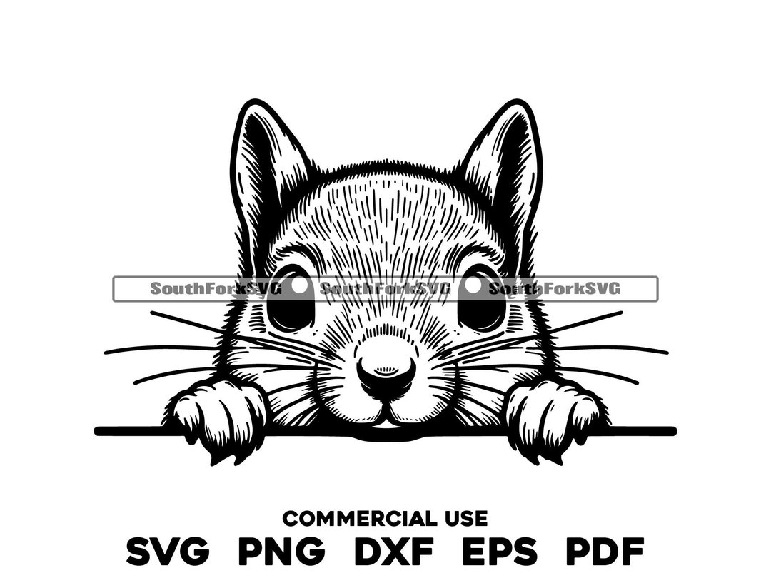 Peeking Squirrel Design Files Svg Png Dxf Eps Pdf | Vector Graphic ...
