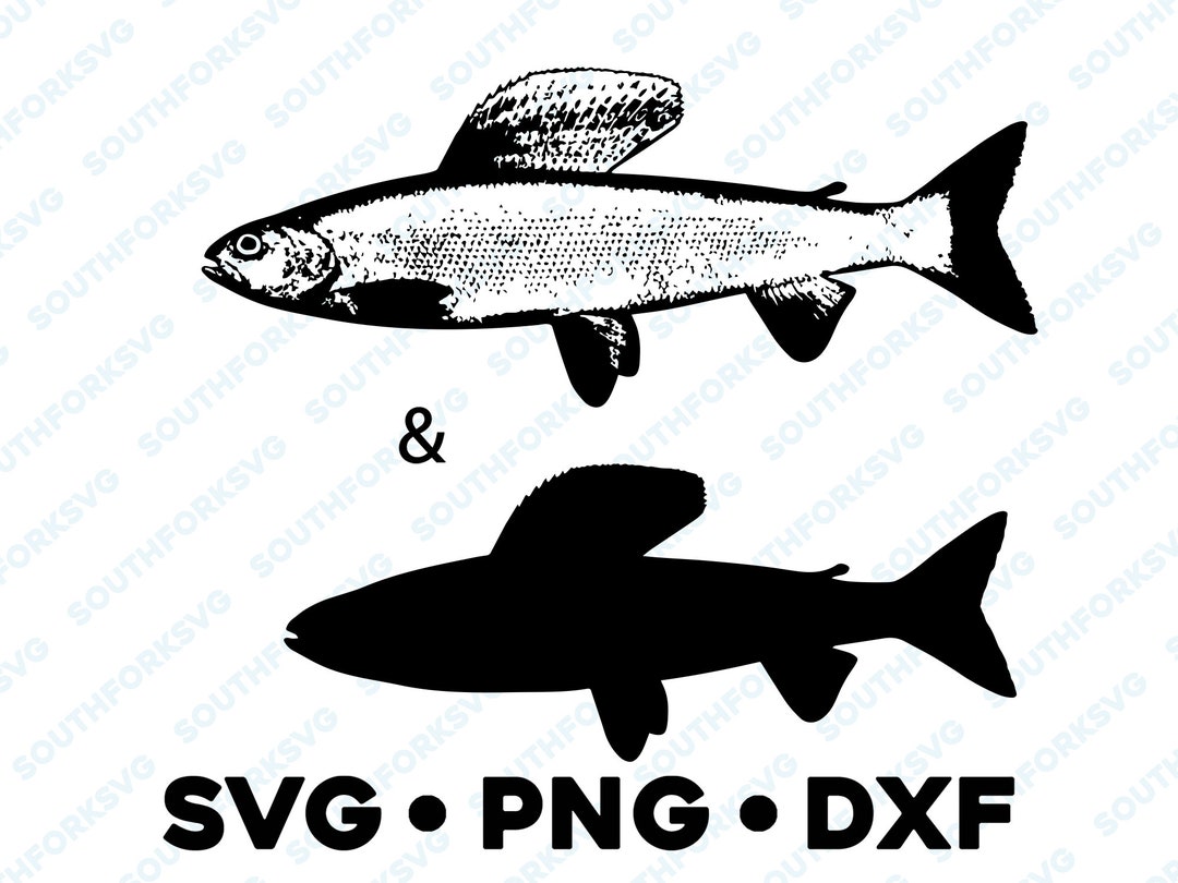 Arctic Grayling Greyling SVG PNG DXF Salmon Trout Vector Graphic ...