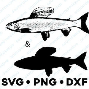 Arctic Grayling Greyling SVG PNG DXF Salmon Trout Vector Graphic ...