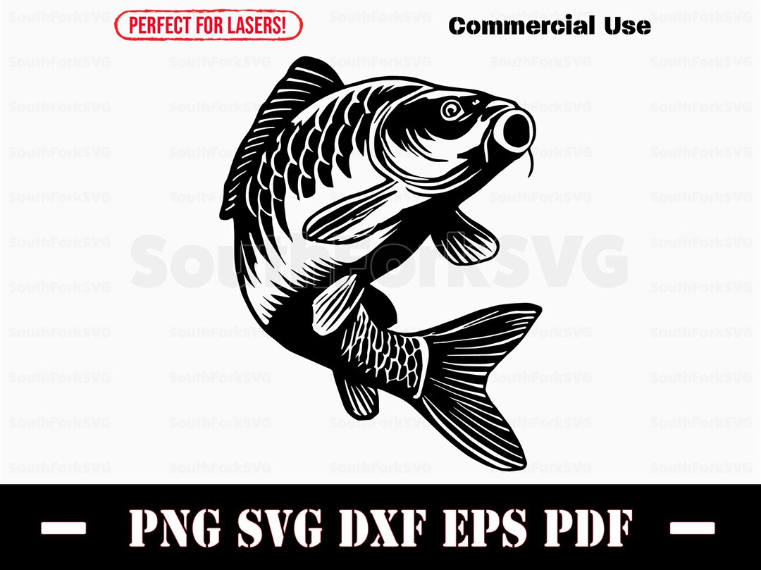 Carp Fishing Svg Png Dxf Eps Pdf | Transparent Vector Graphic Design ...