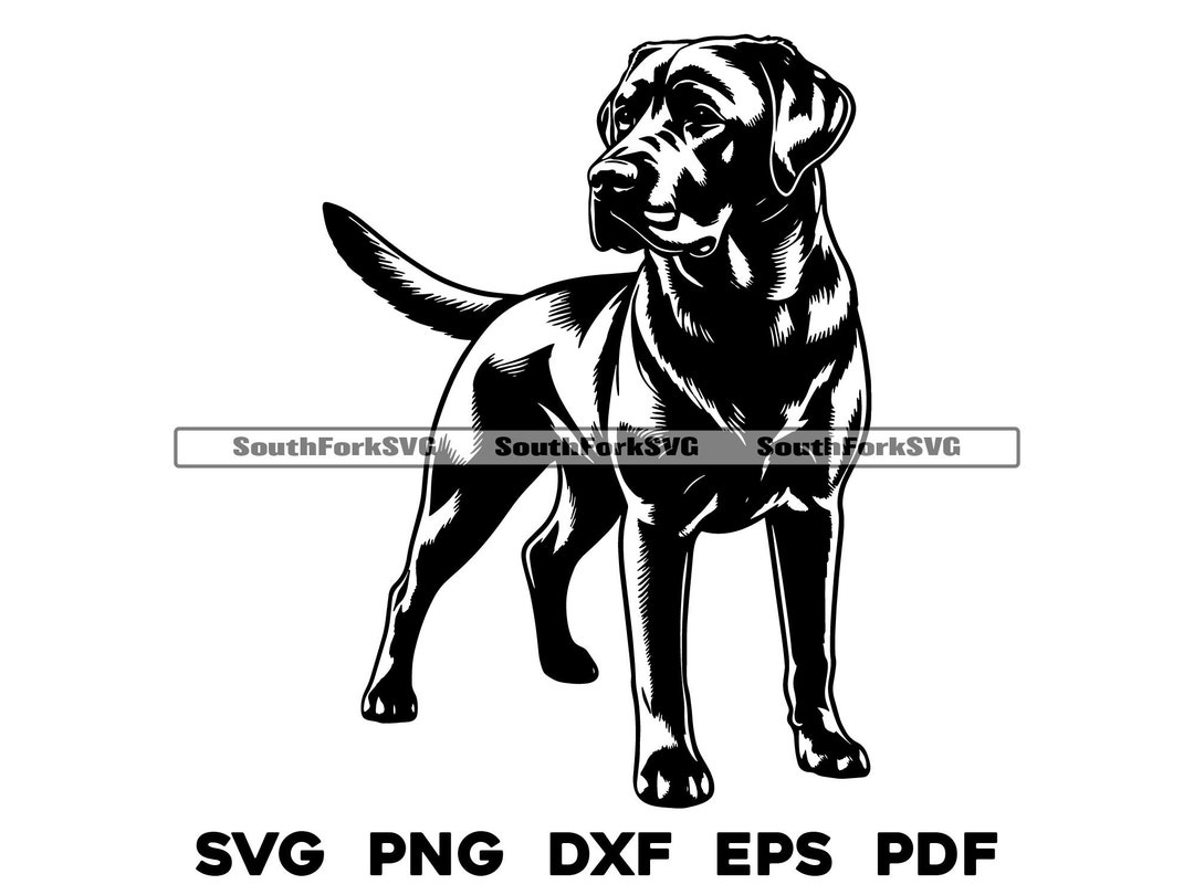Labrador Retriever Dog Design | Svg Png Dxf Eps Pdf | Vector Graphic ...