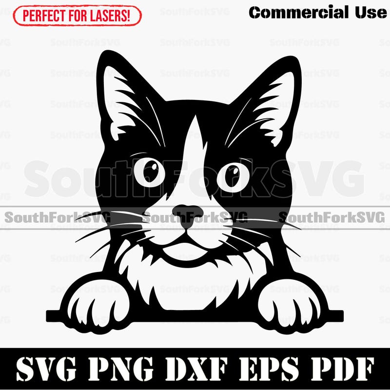 Tuxedo Cat Canvas Print - Etsy