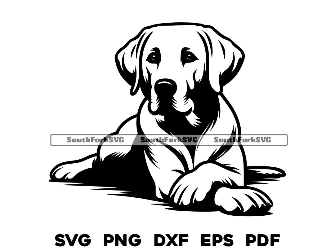 Labrador Retriever Dog Laying Crossed Paws 3 Svg Png Dxf Eps Pdf ...