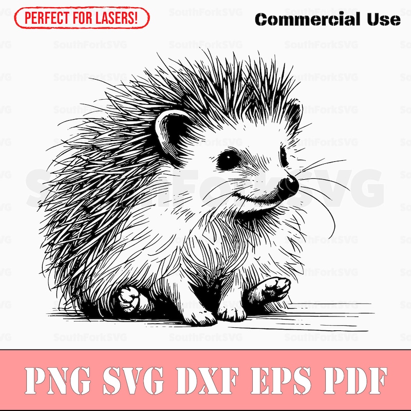 Laser Engrave Hedgehog - Etsy