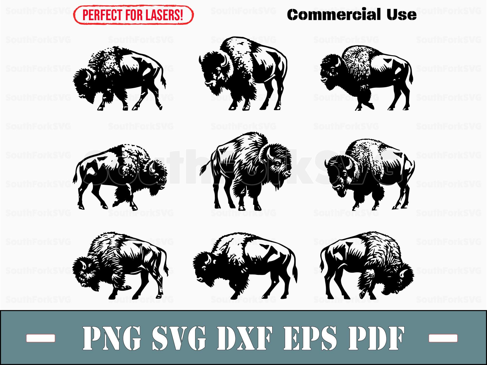 American Bison Bundle Svg Png Dxf Eps Pdf Vector Graphic Design Cut ...