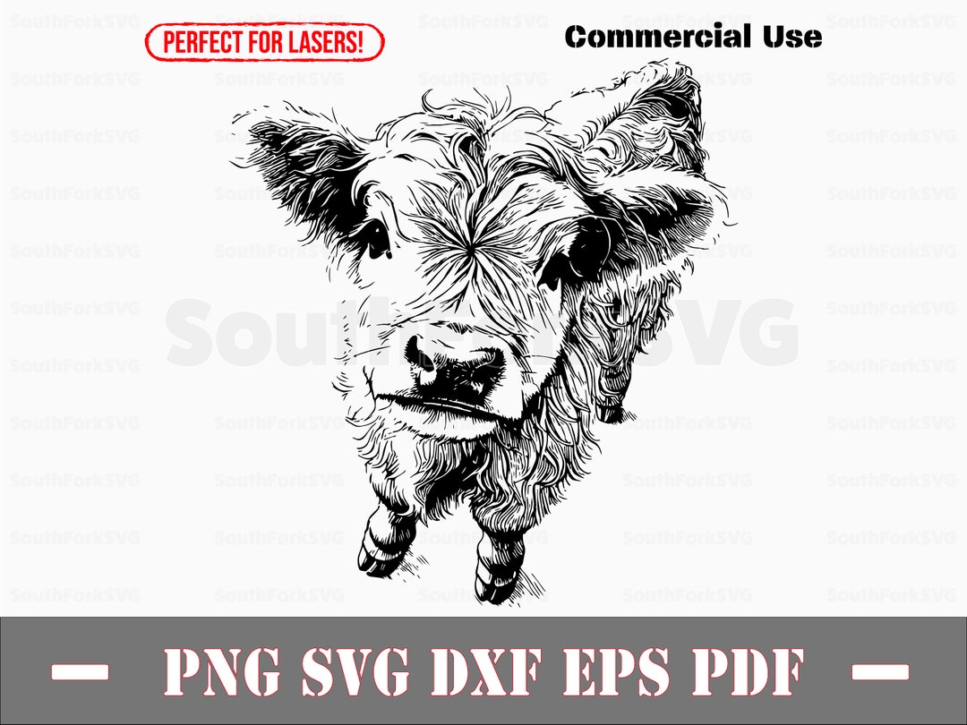 Baby Highland Cow Laser Engrave Files Svg Png Dxf Eps Pdf | Vector ...