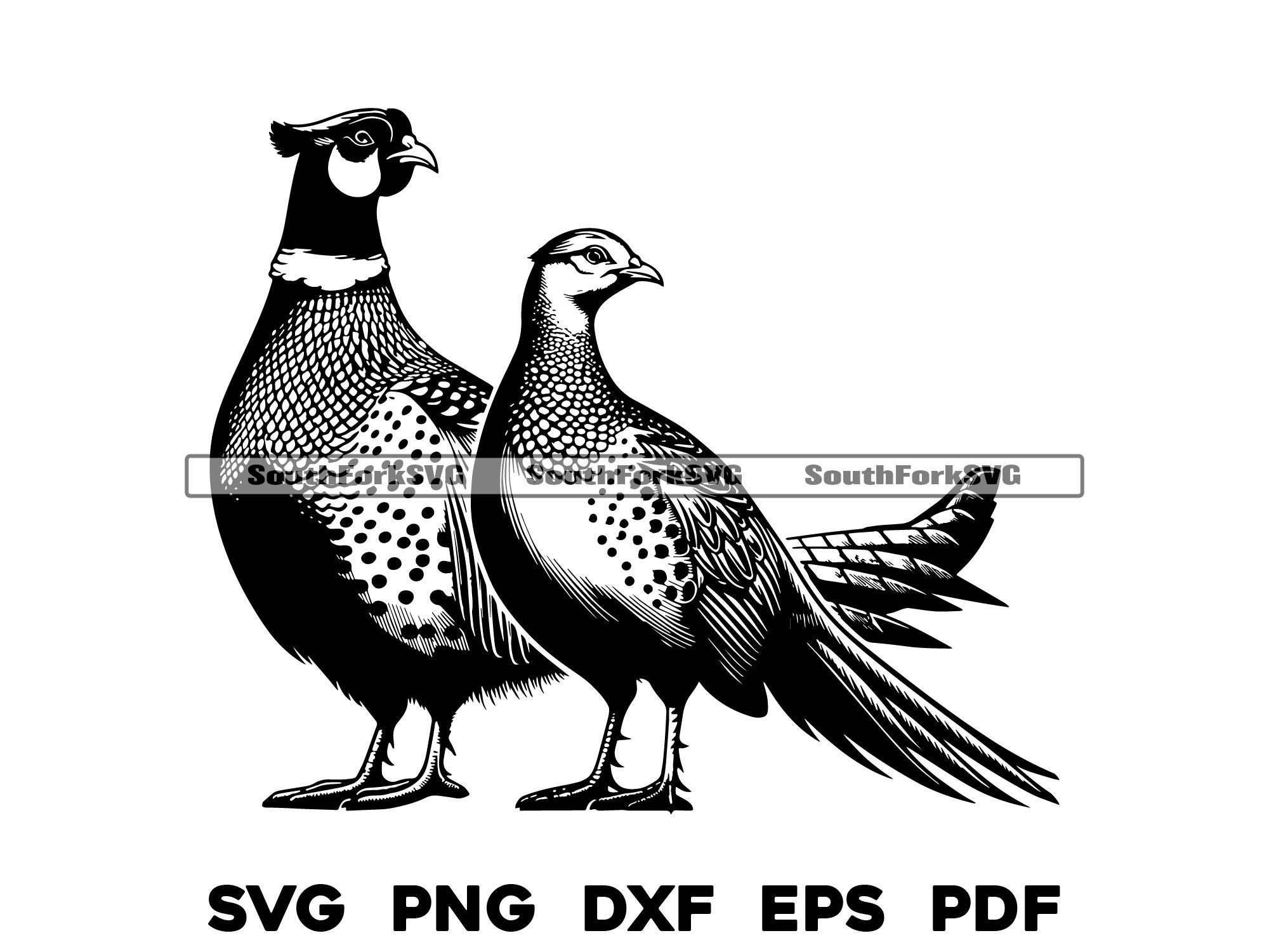 Male & Female Pheasant Couple Svg Png Dxf Eps Pdf | Vector Graphic ...