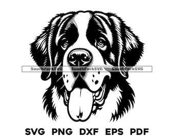 Saint Bernard Eps Svg Png Vector Cutting File - Etsy