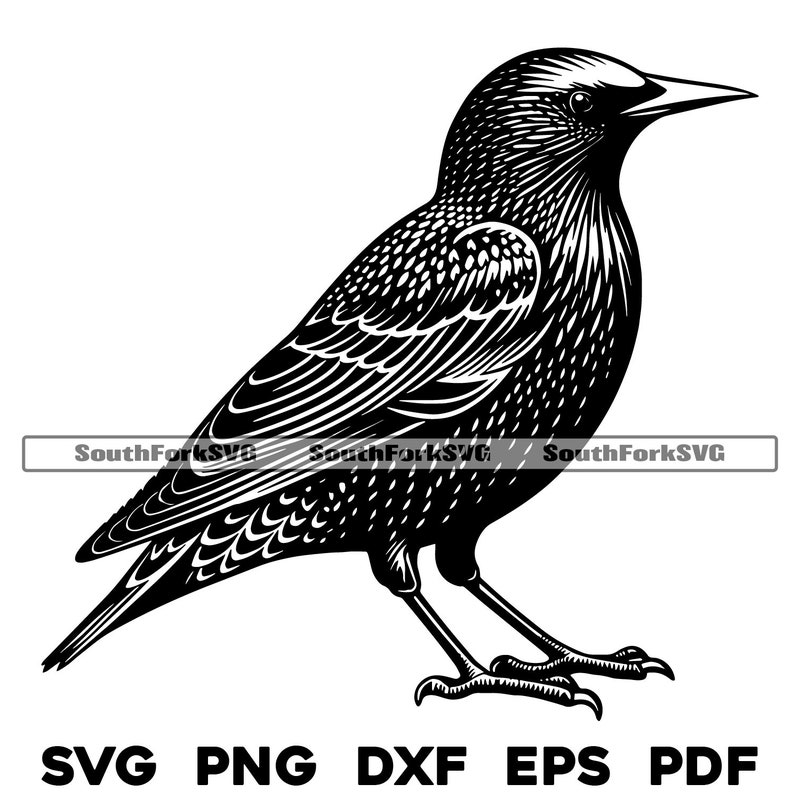 Starling Art - Etsy