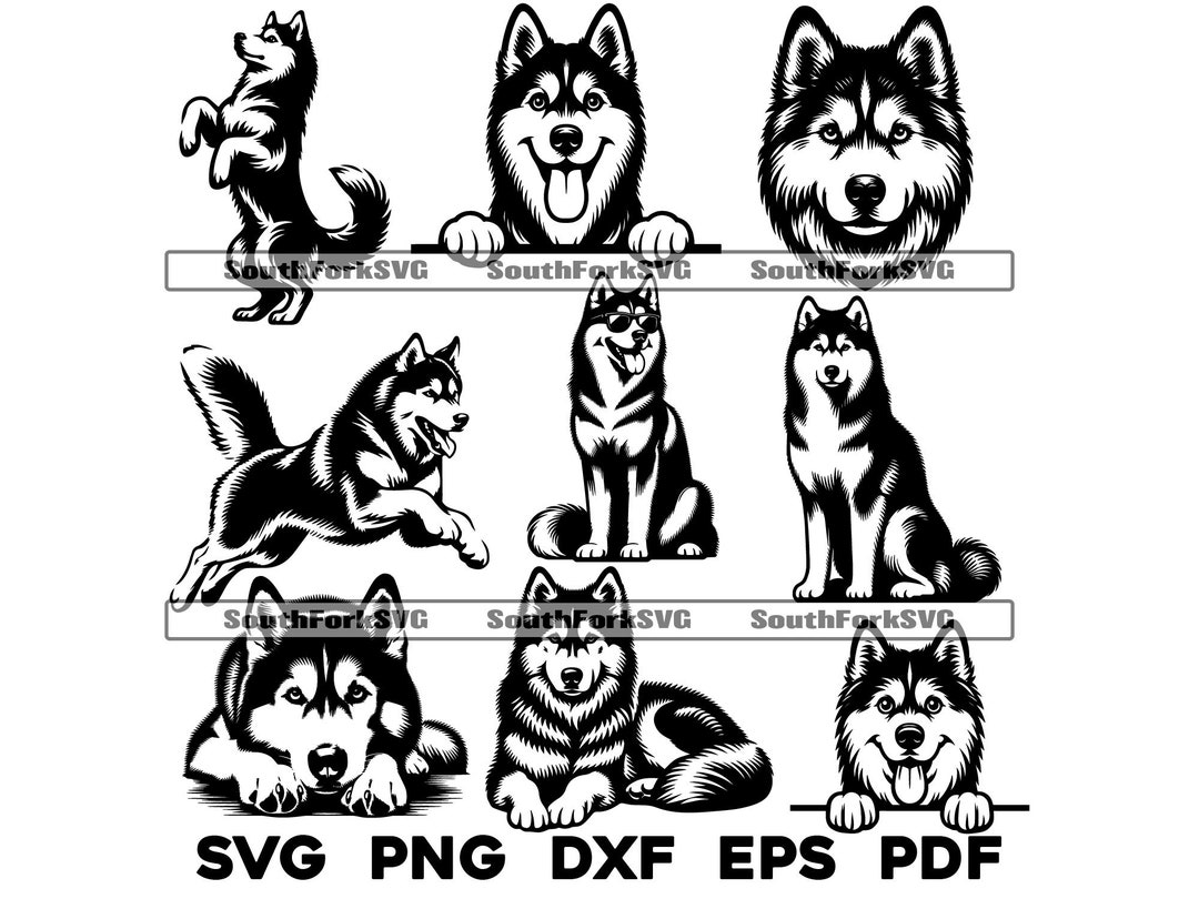Siberian Husky Bundle Pack Svg Png Dxf Eps Pdf | Vector Graphic Cut ...