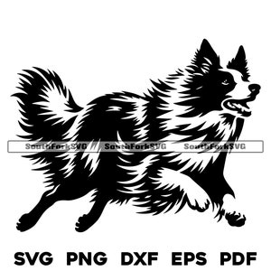 Border Collie Running Design Svg Png Dxf Eps Pdf | Vector Graphic Cut ...