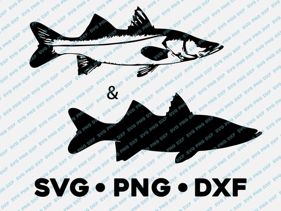 Snook SVG PNG DXF Vector Transparent Cricut Cameo Silhouette - Etsy