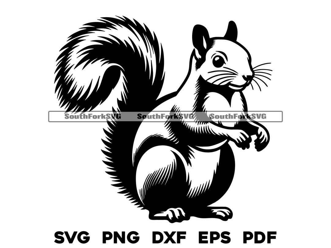 Squirrel Design Files Svg Png Dxf Eps Pdf | Vector Graphic Design Cut ...