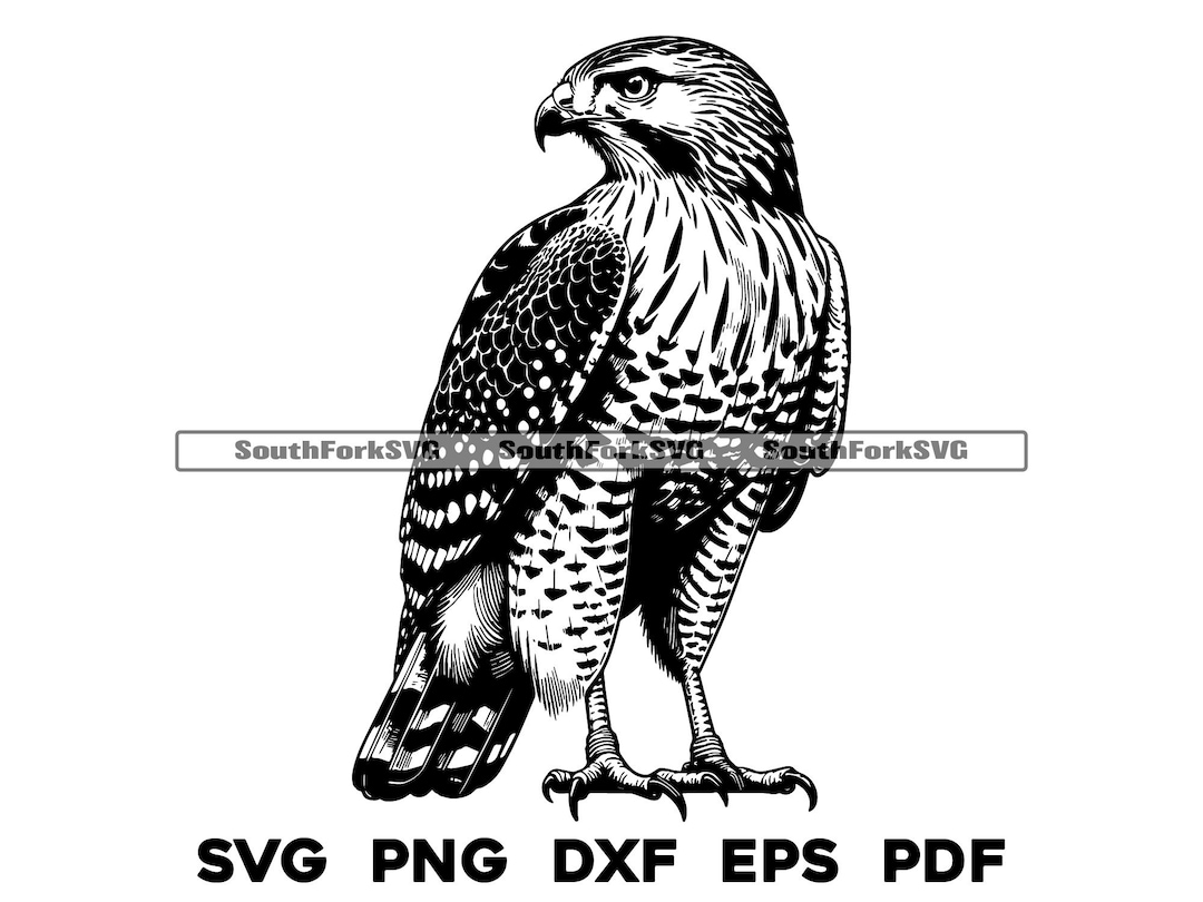 Red-shouldered Hawk Design Svg Png Dxf Eps Pdf | Laser Engrave Cut ...