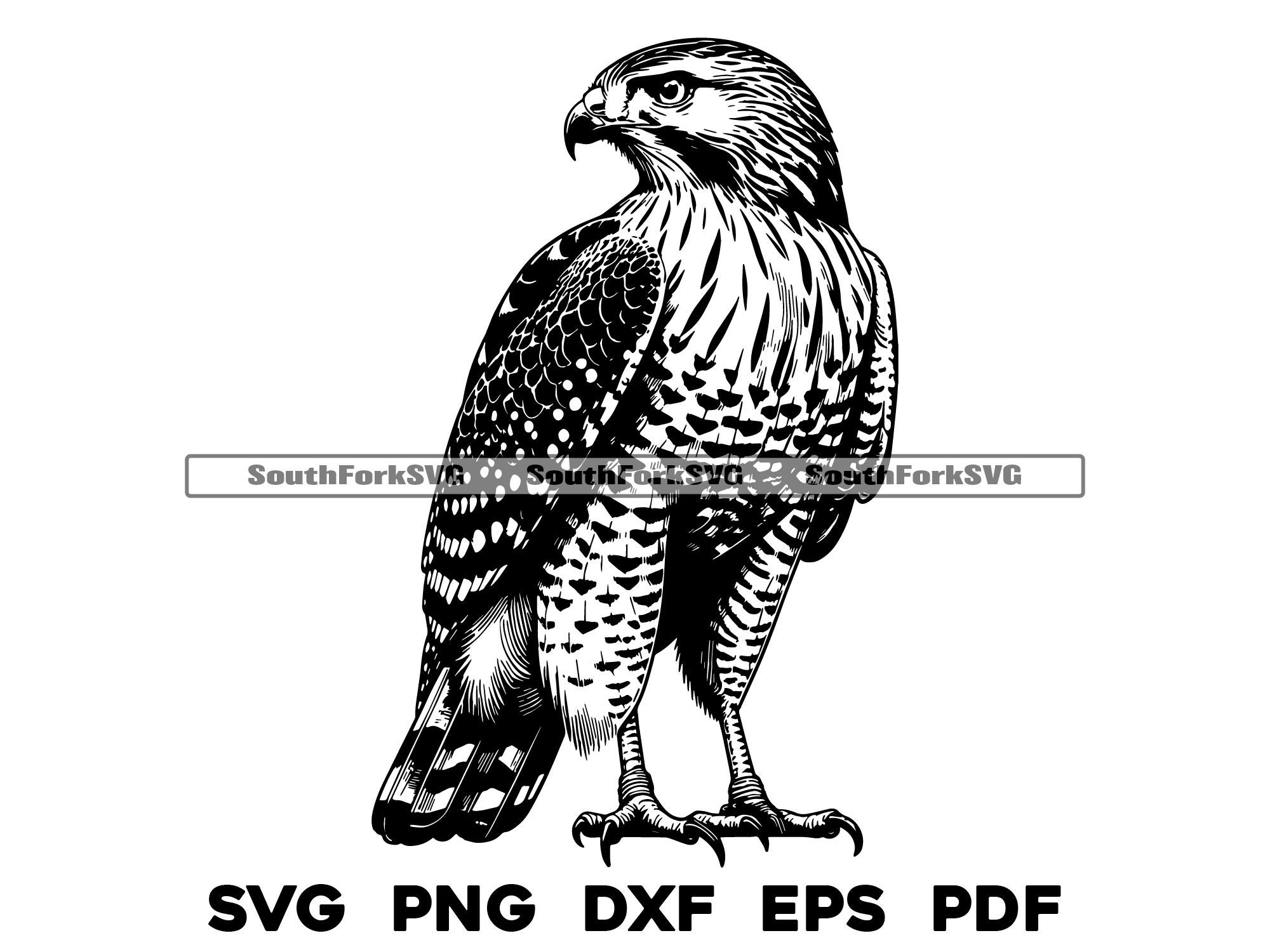 Red-shouldered Hawk Design Svg Png Dxf Eps Pdf | Laser Engrave Cut ...