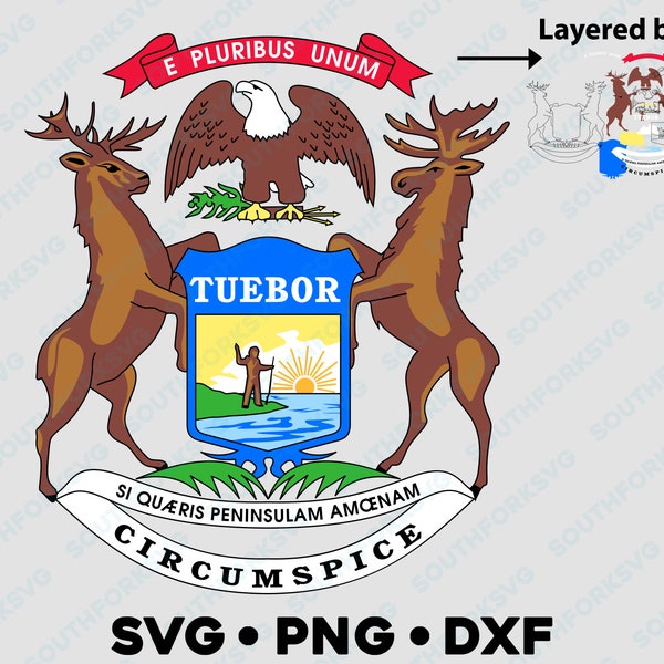 Michigan State - Etsy