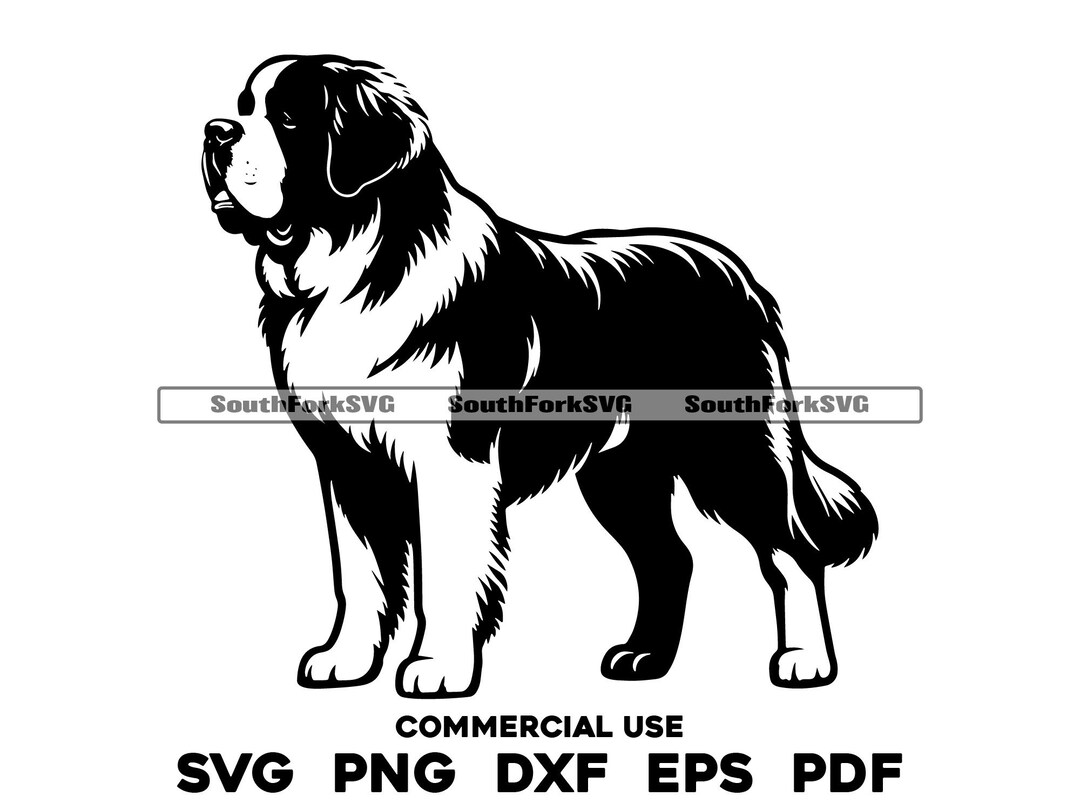 Saint Bernard Dog Standing Design | Svg Png Dxf Eps Pdf | Vector ...