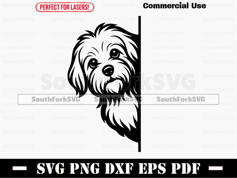Peering Peeking Maltese Dog Svg Png Dxf Eps Pdf | Vector Graphic Cut ...