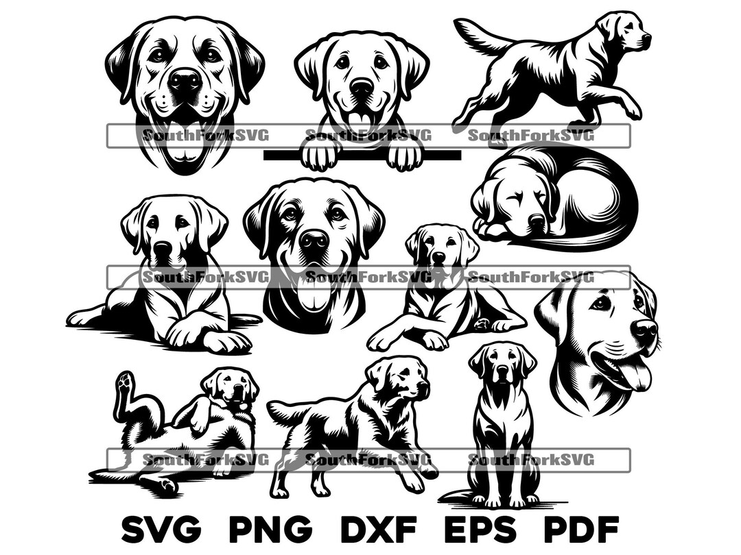 White Lab Labrador Retriever Dog Designs Bundle Svg Png Dxf Eps Pdf ...